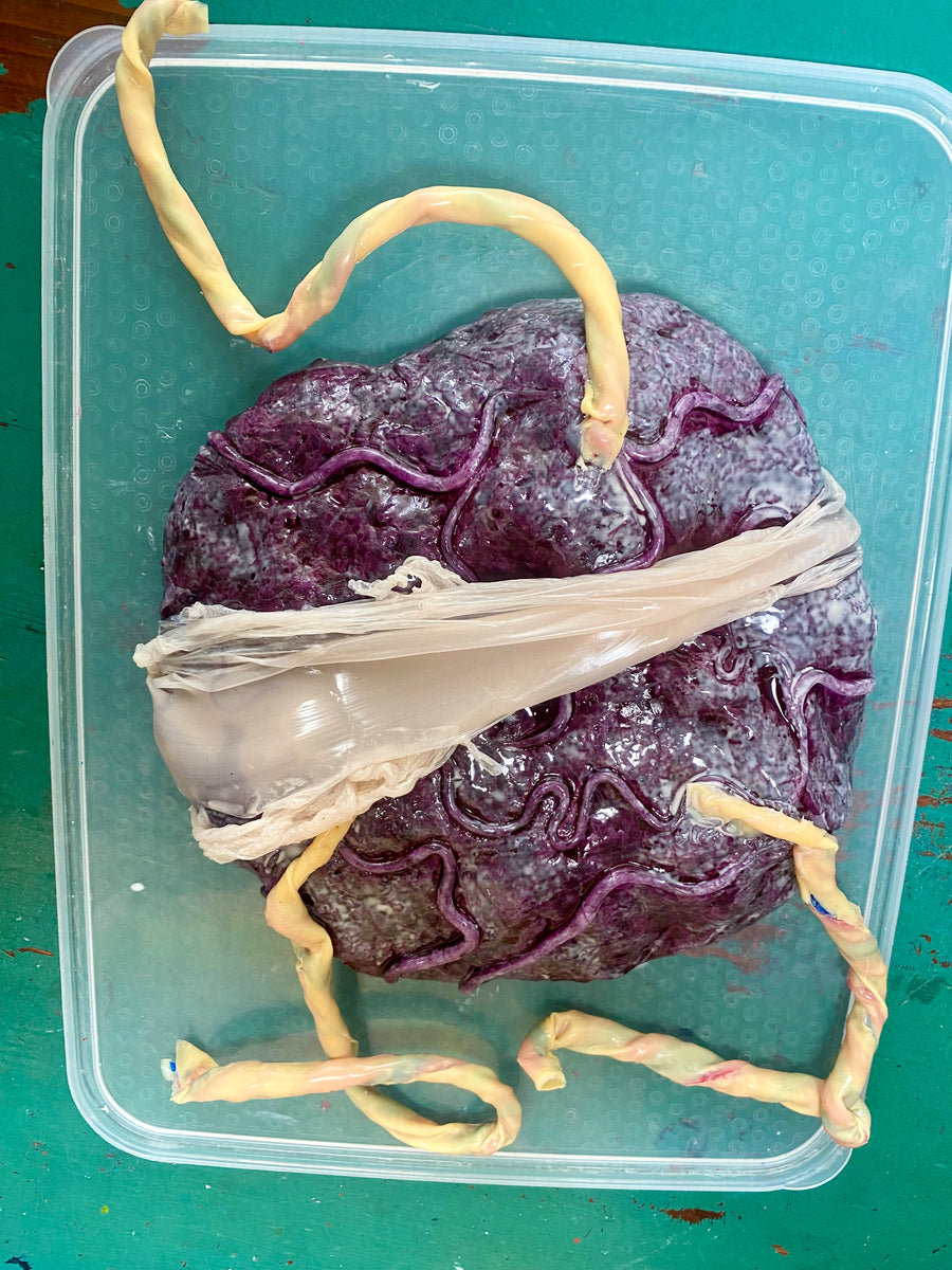 Fake silicone placenta with attached umbilical cords - Painted & glaze ...